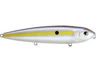 Strike King KVD Sexy Dawg - Tackle Warehouse