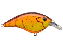Berkley Frittside 5 Crankbait Pro Pack Kit 3pk | Tackle Warehouse