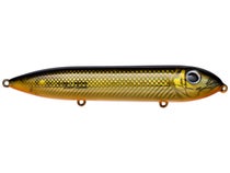 Heddon Zara Spook Walking Bait | Tackle Warehouse