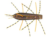 Geecrack Bellows Stick Worm | Tackle Warehouse