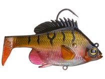 Jerry Rago Top Hook Mini BV3D Pro Swimbaits | Tackle Warehouse