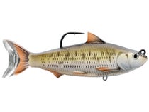 LIVETARGET Gizzard Shad Swimbait | Tackle Warehouse