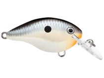 Rapala DT4 Series Crankbaits | Tackle Warehouse