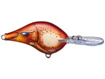 Rapala DT6 Series Crankbaits | Tackle Warehouse