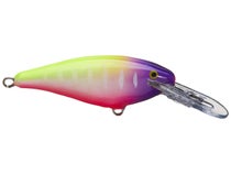 Rapala DT6 Series Crankbaits | Tackle Warehouse