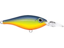 Rapala DT4 Series Crankbaits | Tackle Warehouse