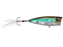 Berkley Bullet Pop Popper | Tackle Warehouse