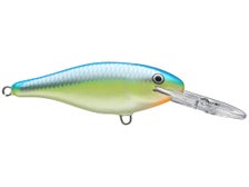 Rapala DT10 Series Crankbaits | Tackle Warehouse