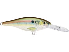 Rapala DT10 Series Crankbaits | Tackle Warehouse