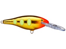 Rapala DT10 Series Crankbaits | Tackle Warehouse