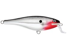 Rapala DT6 Series Crankbaits | Tackle Warehouse