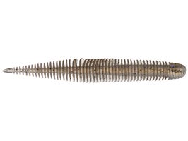 Geecrack Soft Baits - Tackle Warehouse