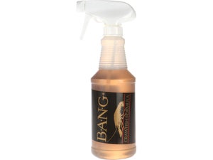 BANG Fish Attractant 5oz Aerosol Spray - Tackle Warehouse