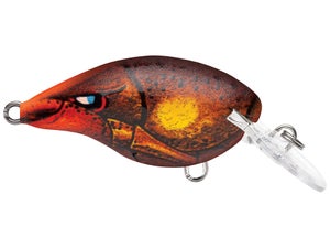 Rapala DT6 Series Crankbaits - Tackle Warehouse