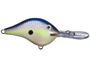 Rapala DT6 Series Crankbaits - Tackle Warehouse