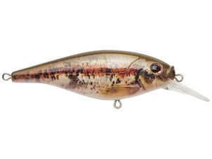 Berkley Flicker Shad HD Shallow Crankbait - Tackle Warehouse