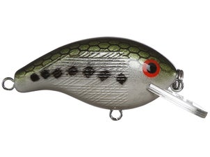 Rebel Super Teeny Wee-R Crankbait - Tackle Warehouse