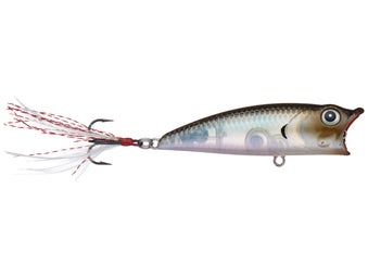 Topwater Poppers - Tackle Warehouse