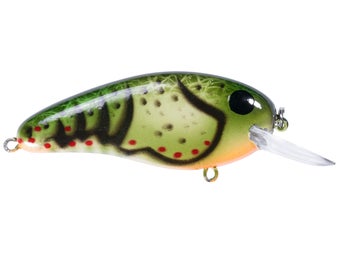 Bomber Lures Baits - Tackle Warehouse
