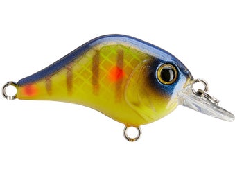 More Bait Finesse Tackle!! - Tackle Warehouse