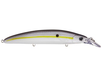 Shallow Diving Jerkbaits (0-6') - Tackle Warehouse