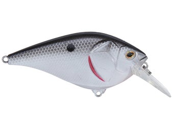 Castaic Baits - Tackle Warehouse