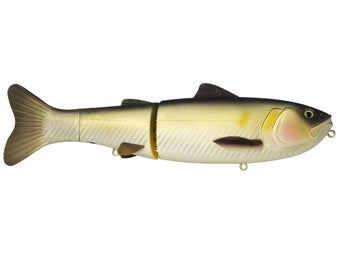 Baitsanity Baits - Tackle Warehouse