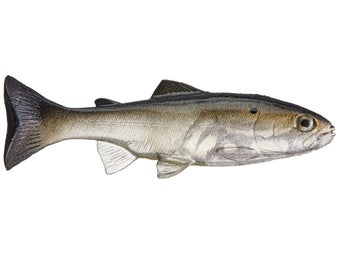 Huddleston Deluxe - Tackle Warehouse