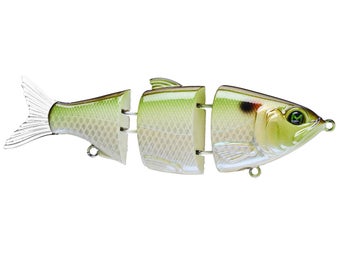 Mach Baits - Tackle Warehouse