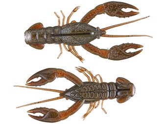 Nikko Fishing Soft Baits - Tackle Warehouse