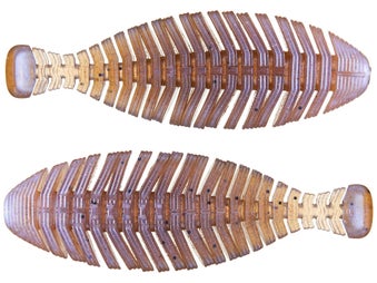 RAID Japan - Tackle Warehouse