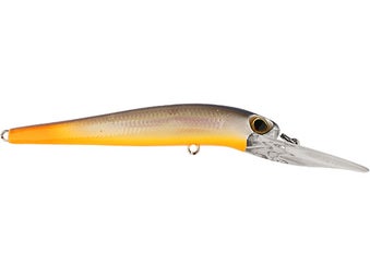 Storm Baits - Tackle Warehouse