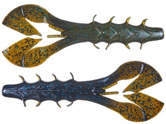 Jason Christie - Tackle Warehouse