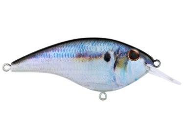 Berkley Squarebull 3.5 Crankbait - Tackle Warehouse
