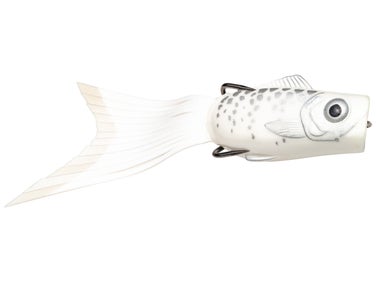 Strike King KVD Popping Perch | Tackle Warehouse