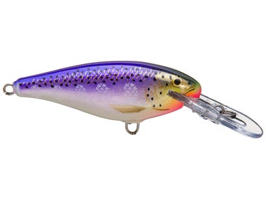 Rapala Shad Rap 5 Crankbaits | Tackle Warehouse