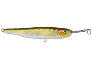 Strike King Wake Shad 2.0 Wakebait | Tackle Warehouse