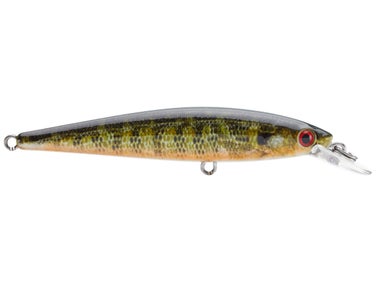 Strike King KVD Elite 200 Jerkbait | Tackle Warehouse