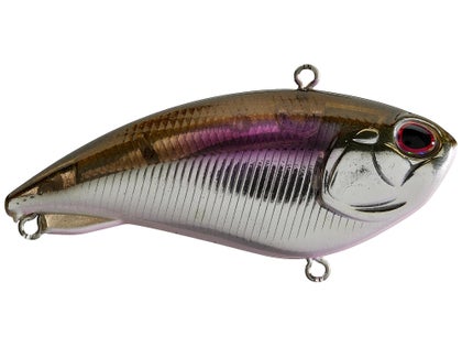 Berkley Warpig Lipless Crankbait | Tackle Warehouse