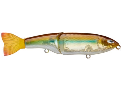 Jerry Rago Glideator | Tackle Warehouse