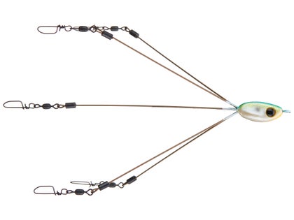 Umbrella Rigs Gear Guide