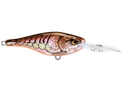 Rapala DT6 Series Crankbaits | Tackle Warehouse
