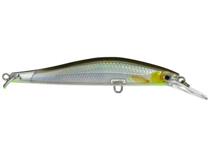 Rapala Shadow Rap Shad Jerkbaits | Tackle Warehouse