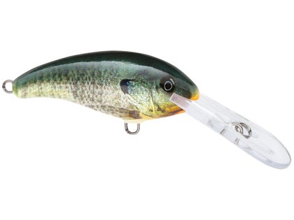 Rapala Shad Rap 7 Crankbaits | Tackle Warehouse
