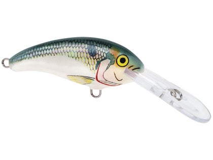 Rapala DT16 Series Crankbaits | Tackle Warehouse