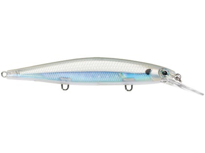 Rapala X-Rap 10 Jerkbaits | Tackle Warehouse