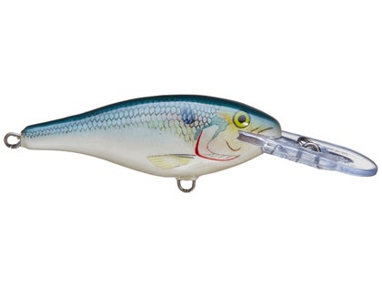 Rapala DT6 Series Crankbaits | Tackle Warehouse