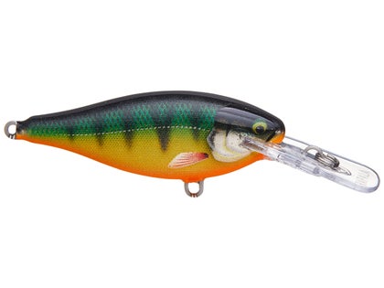 Rapala DT6 Series Crankbaits | Tackle Warehouse