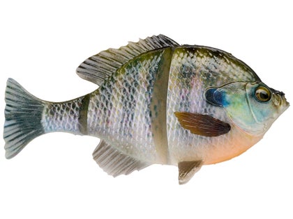 Savage Gear Live 3D Bluegill Line Thru Swimbait | Tackle Warehouse