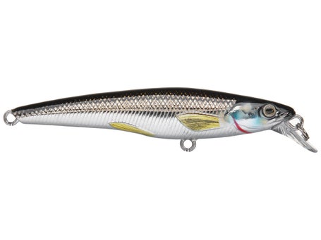 LIVETARGET Rainbow Smelt Jerkbait 70S | Tackle Warehouse